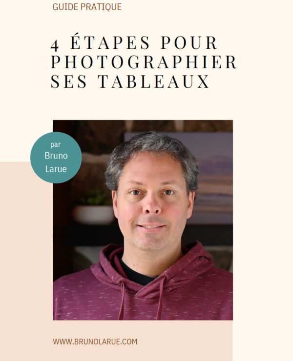 guide pratique 4 étapes pour photographier ses tableaux - Cours de photo